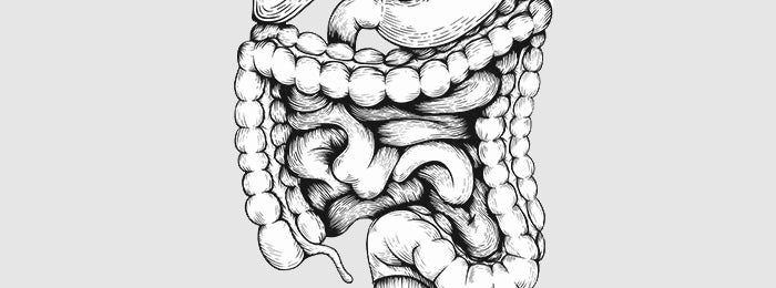 Constipation in Women: Common Digestive Issues – Integrative Therapeutics®