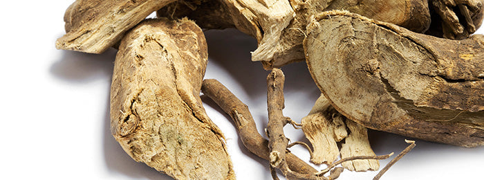 History and Benefits of Eleuthero – Integrative Therapeutics®